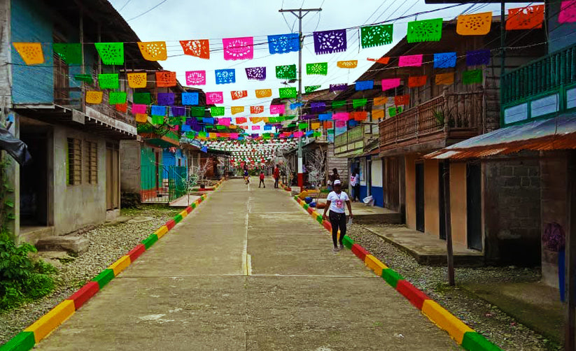 Feston Mexicano Multicolor 50mts -Plastico – Festones Alegrías en Colores